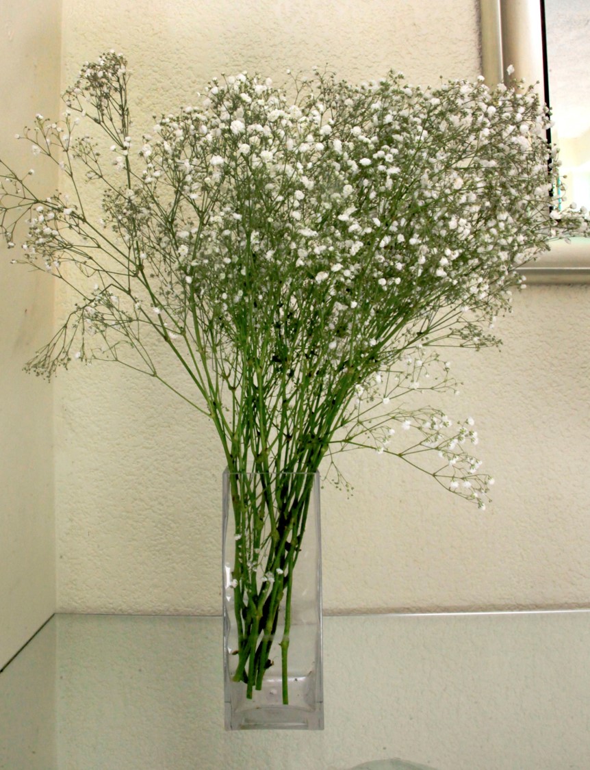 baby – Diario El Salvador