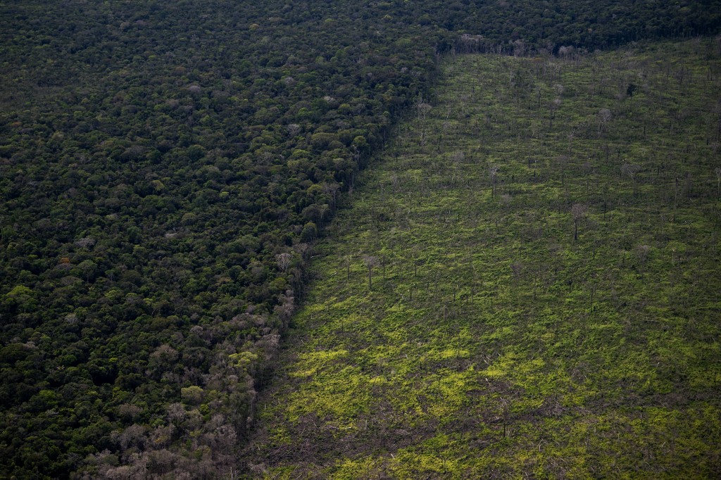 BRAZIL-AMAZON-RAINFOREST-DEFORESTATION – Diario El Salvador
