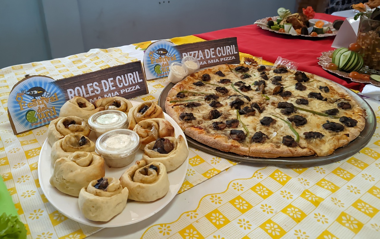 Todo está listo para el sexto festival del curil – Diario El Salvador