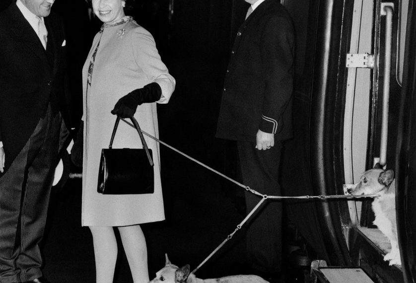 Fotos: La reina Isabel II y su increíble amor por los perritos corgi ...