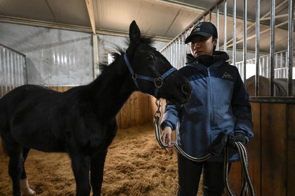 CHINA-BIOTECHNOLOGY-CLONING-HORSE – Diario El Salvador