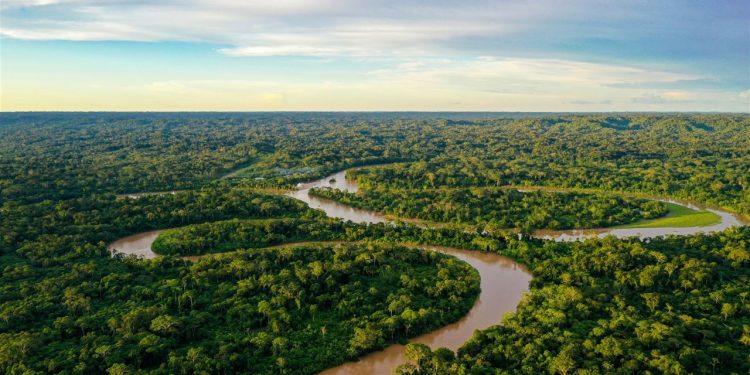 Expedición intentará probar que el río Amazonas es más largo que el ...