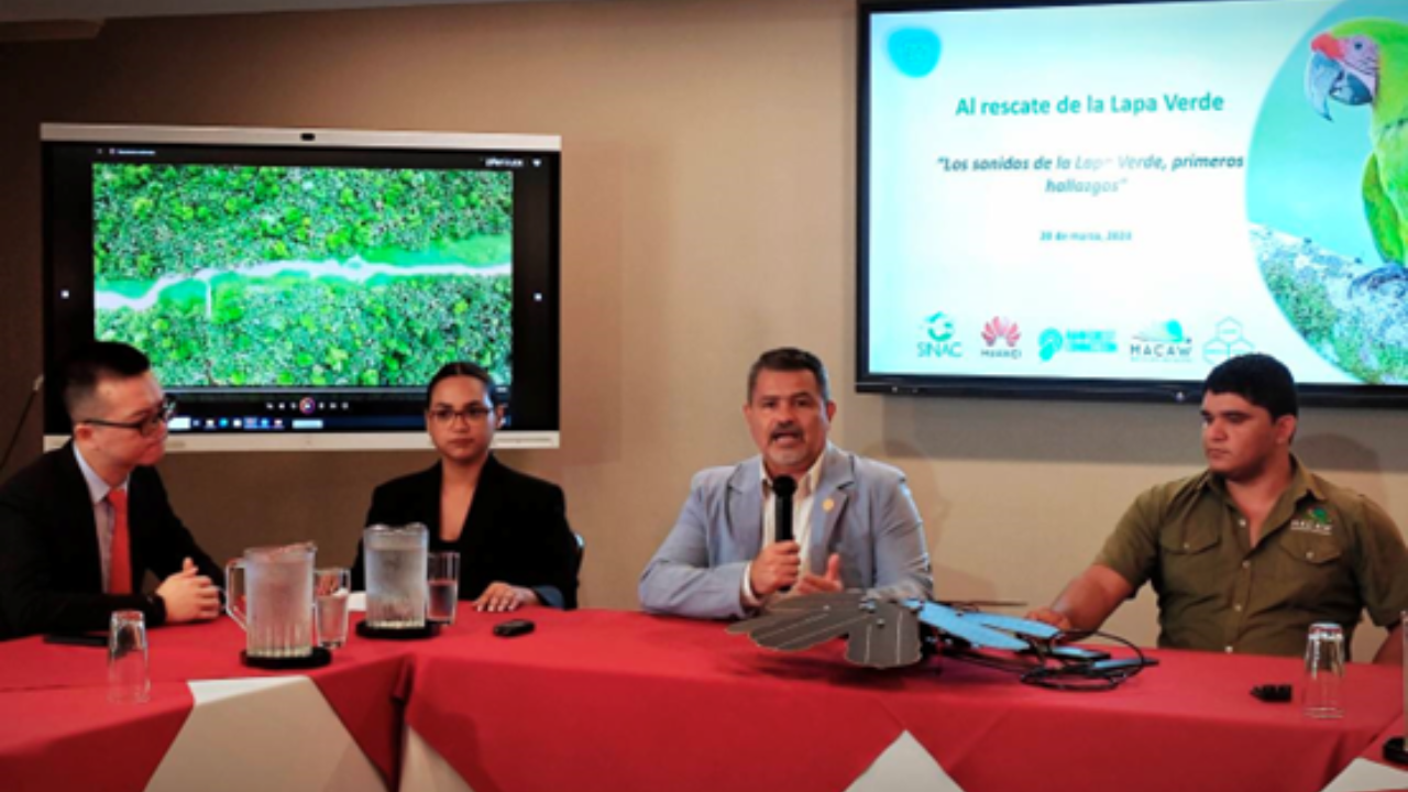 Prometedores hallazgos para la conservación de la Lapa Verde en Costa ...