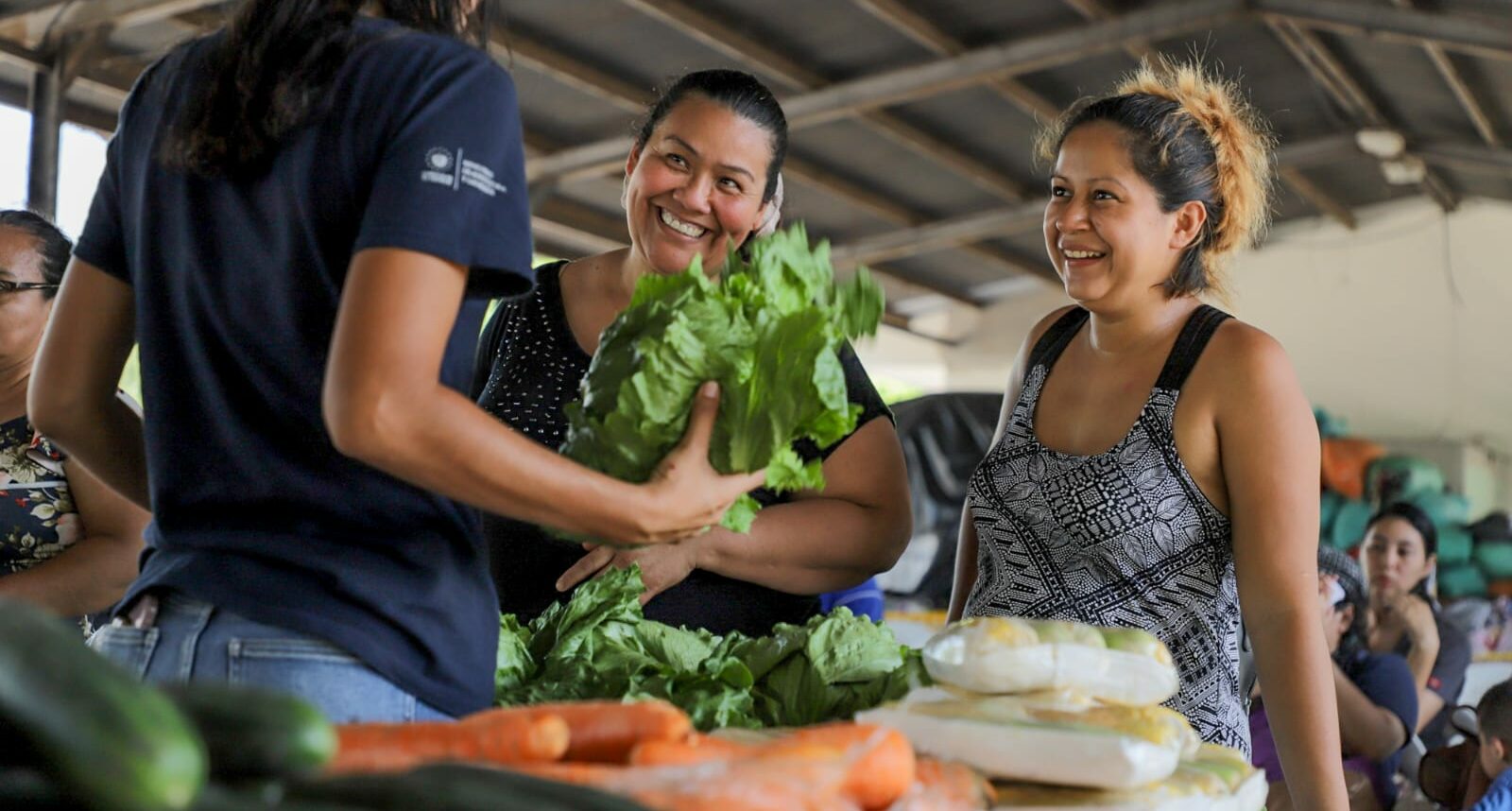 «El Salvador volverá a ser un productor agrícola sólido»: María Hayem ...