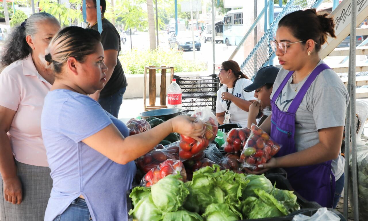 Agromercados pondrán precios más bajos y tendrán presencia en todo El ...